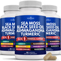 herbal supplements for immune support