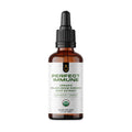 herbal supplements for immune support