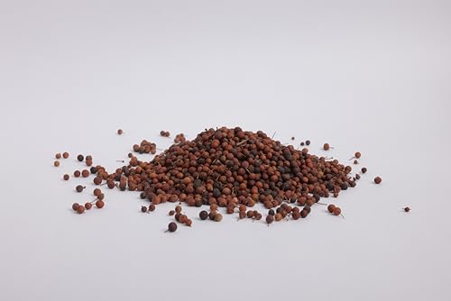 herbal supplements for immune support