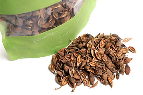 herbal supplements for immune support
