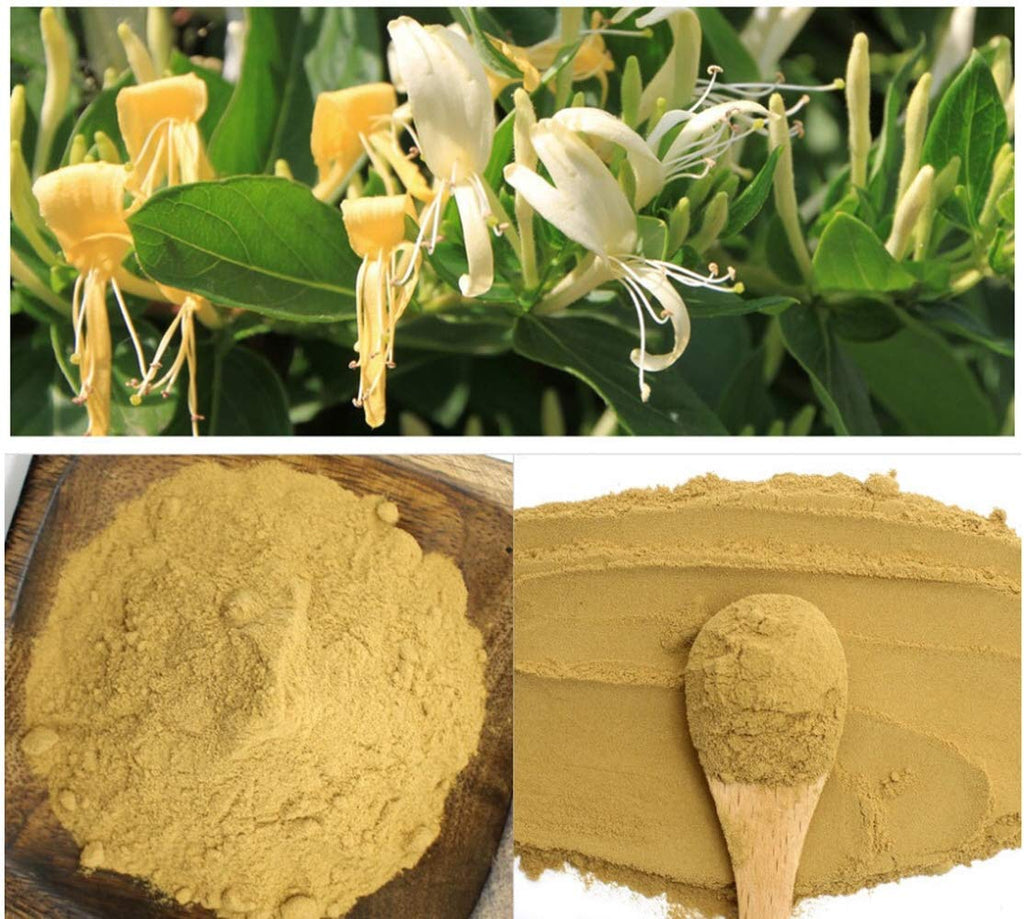 herbal supplements for immune support