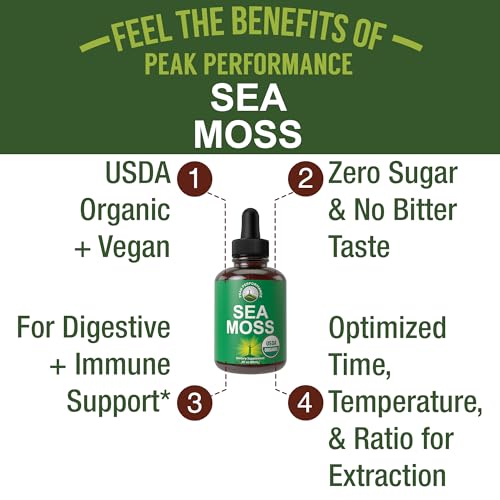 herbal supplements for immune support
