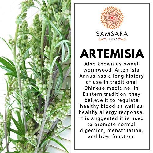 herbal supplements for immune support