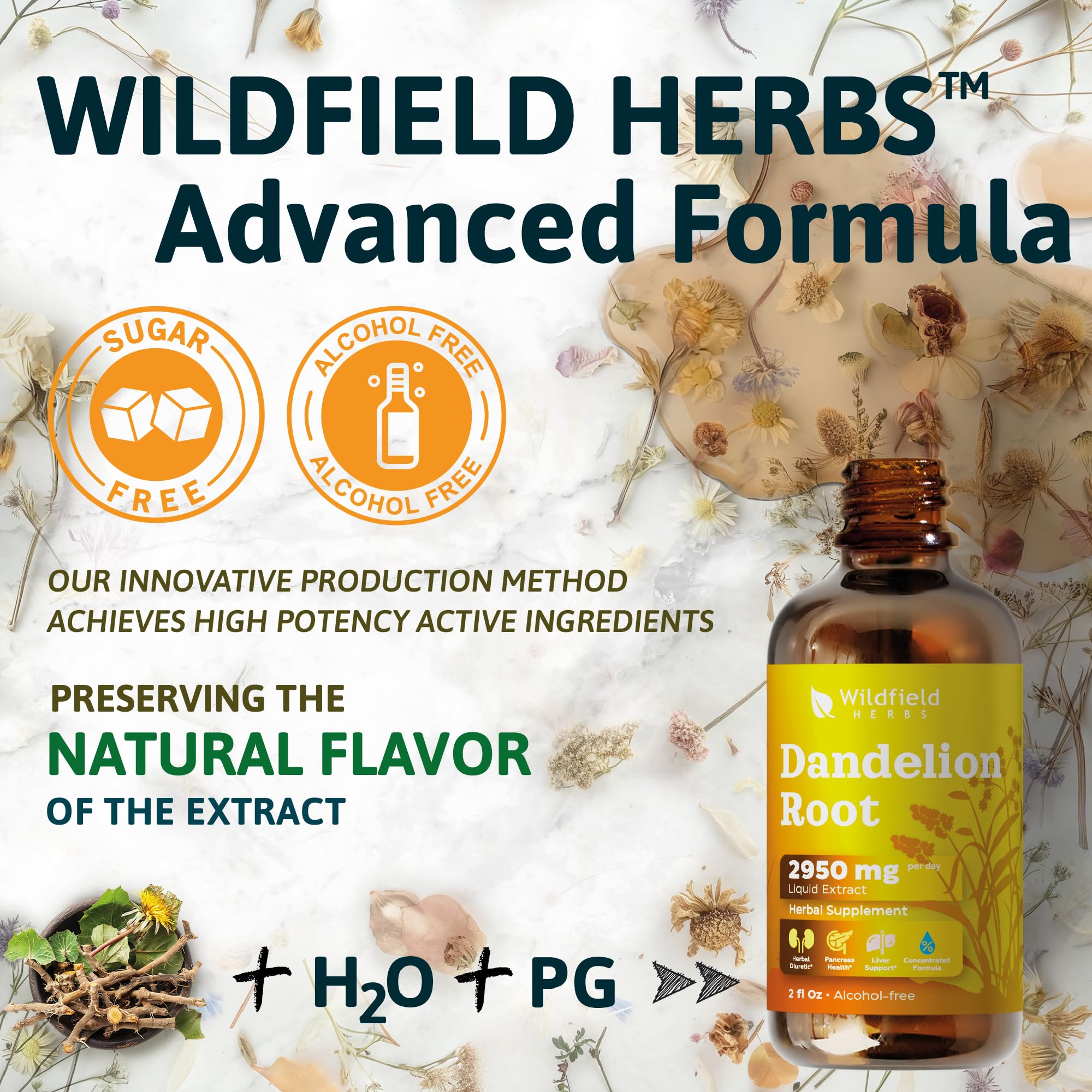 herbal supplements for immune support