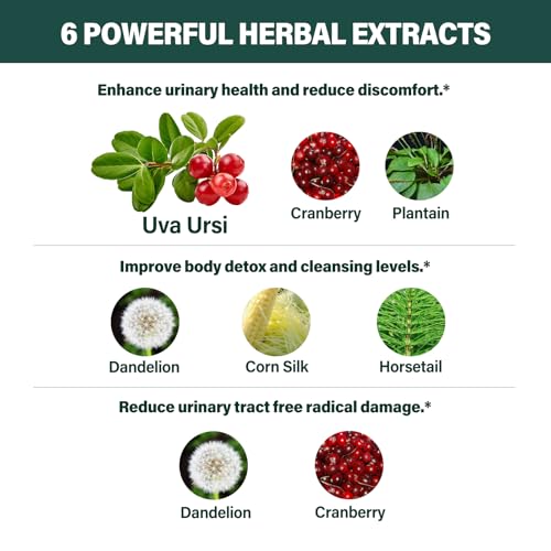 herbal supplements for kidney health
