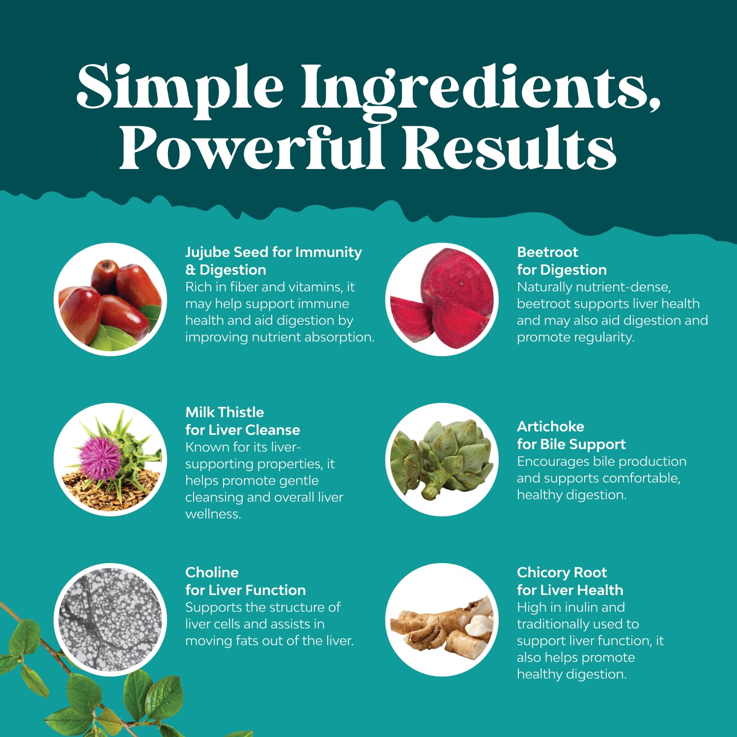 herbal supplements for liver function support