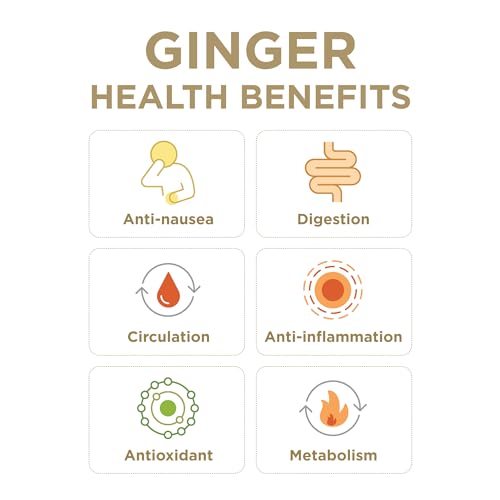 herbal supplements for natural energy