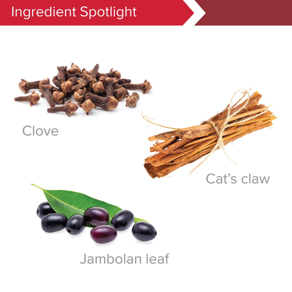 Herbal supplements for overall health
