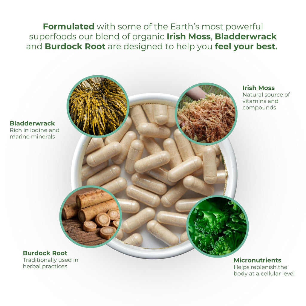 herbal supplements for overall health