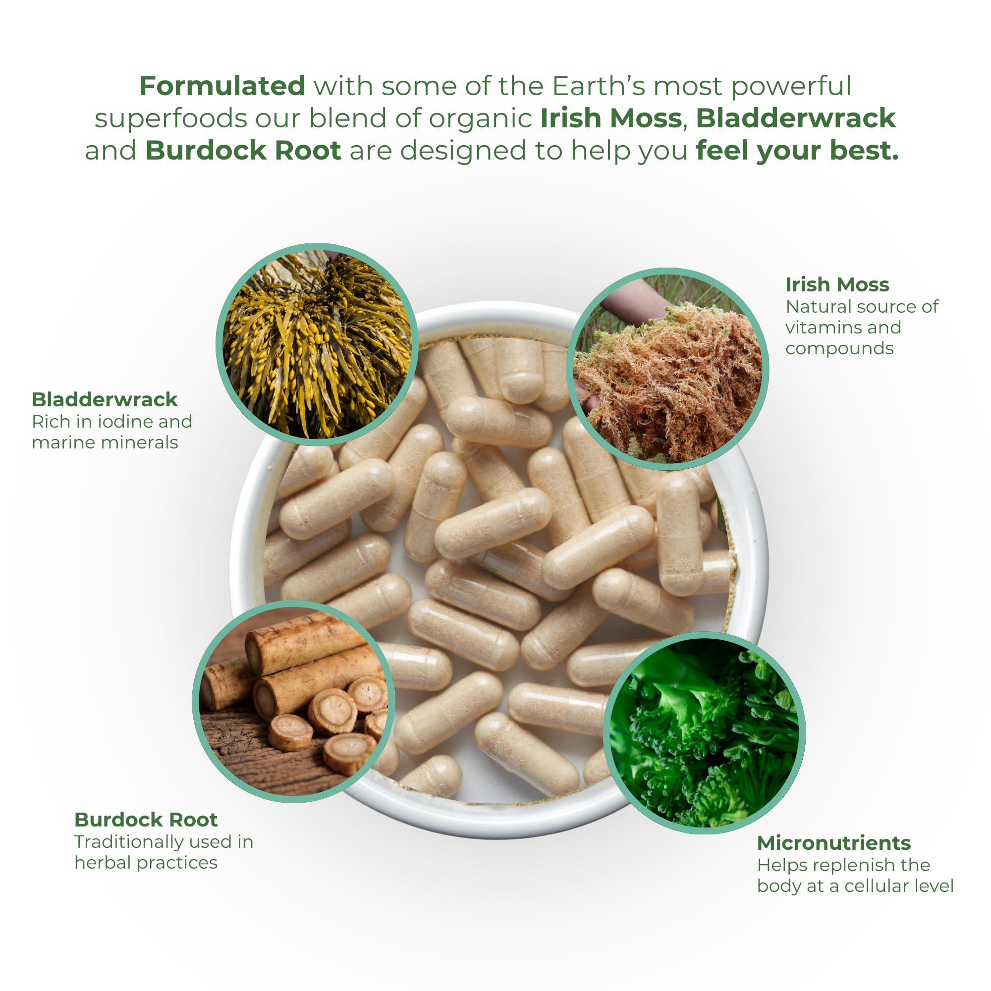 herbal supplements for overall health