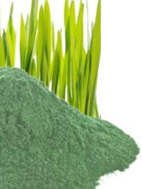 herbal supplements for overall health