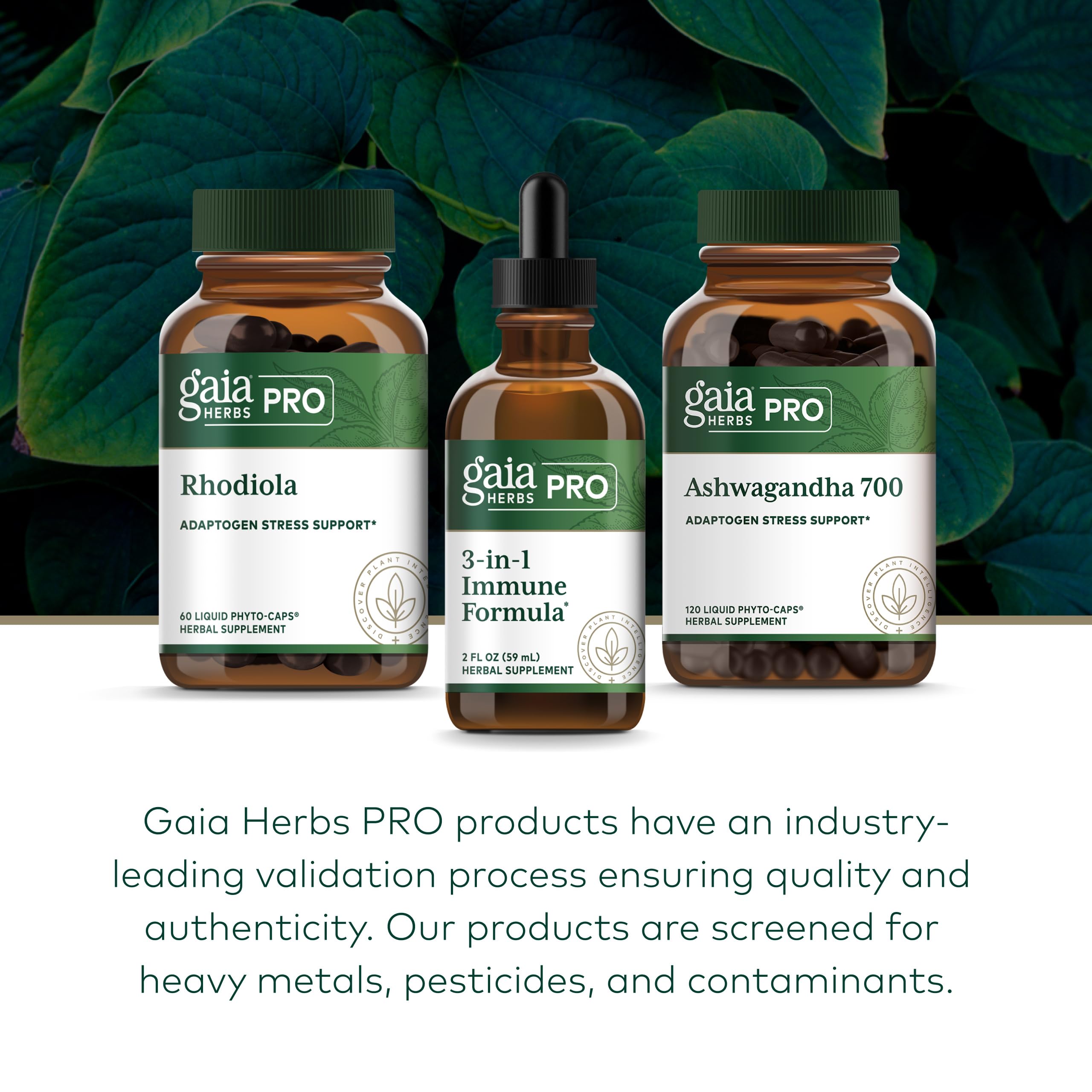 herbal supplements for overall vitality