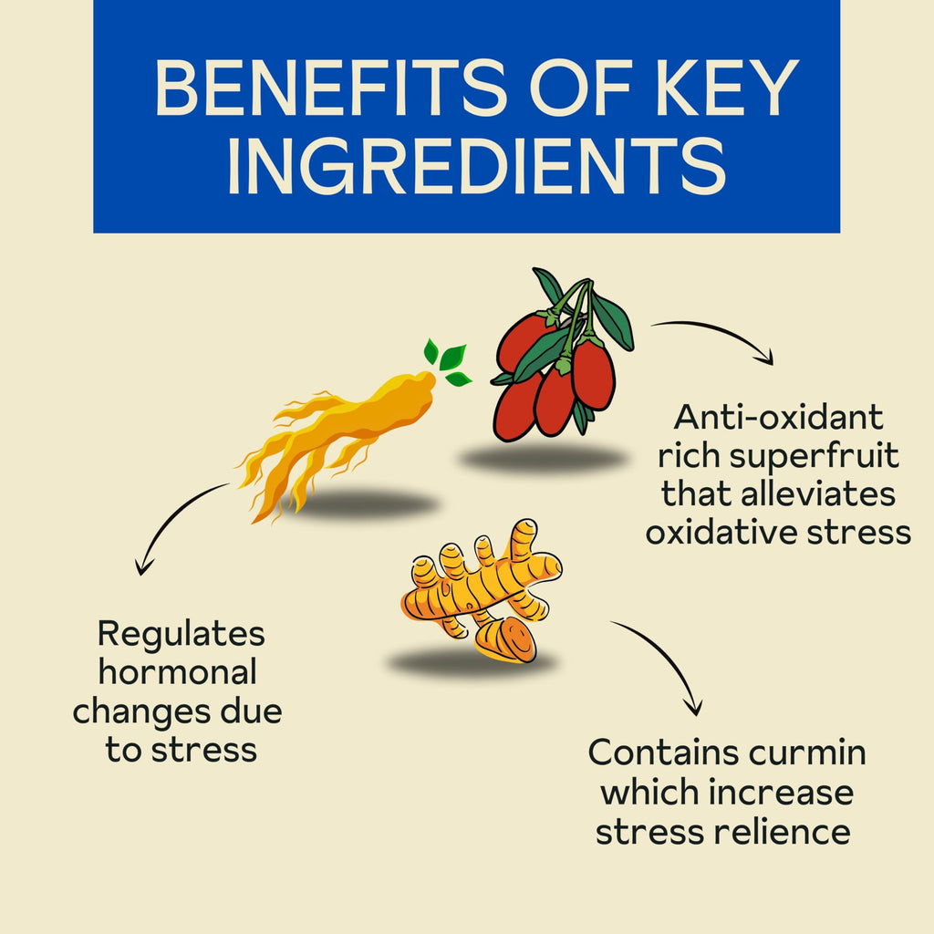 herbal supplements for relaxation and wellness