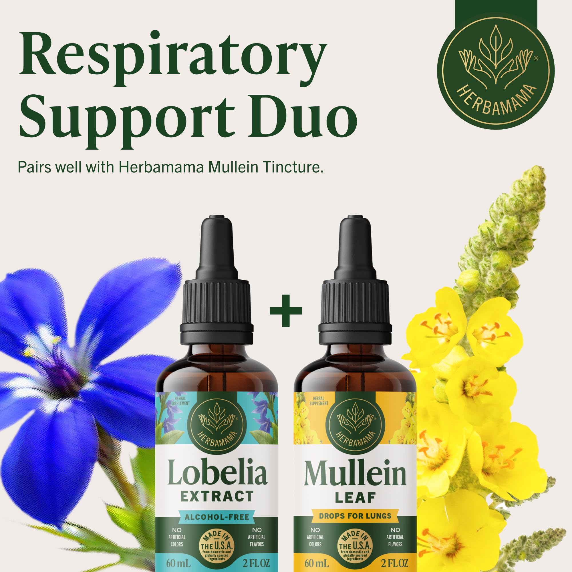 Herbal supplements for respiratory function