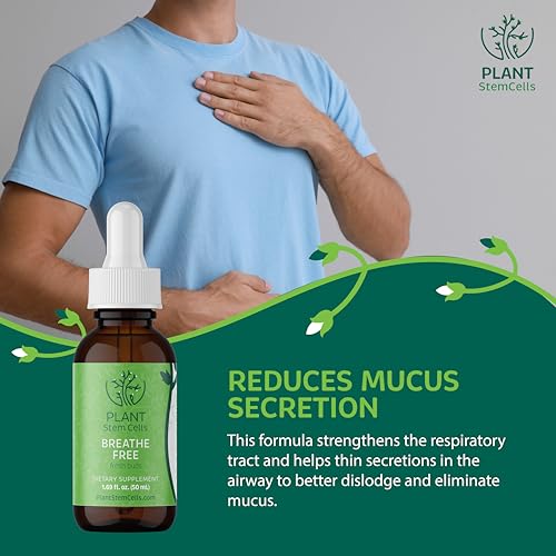 herbal supplements for respiratory wellness
