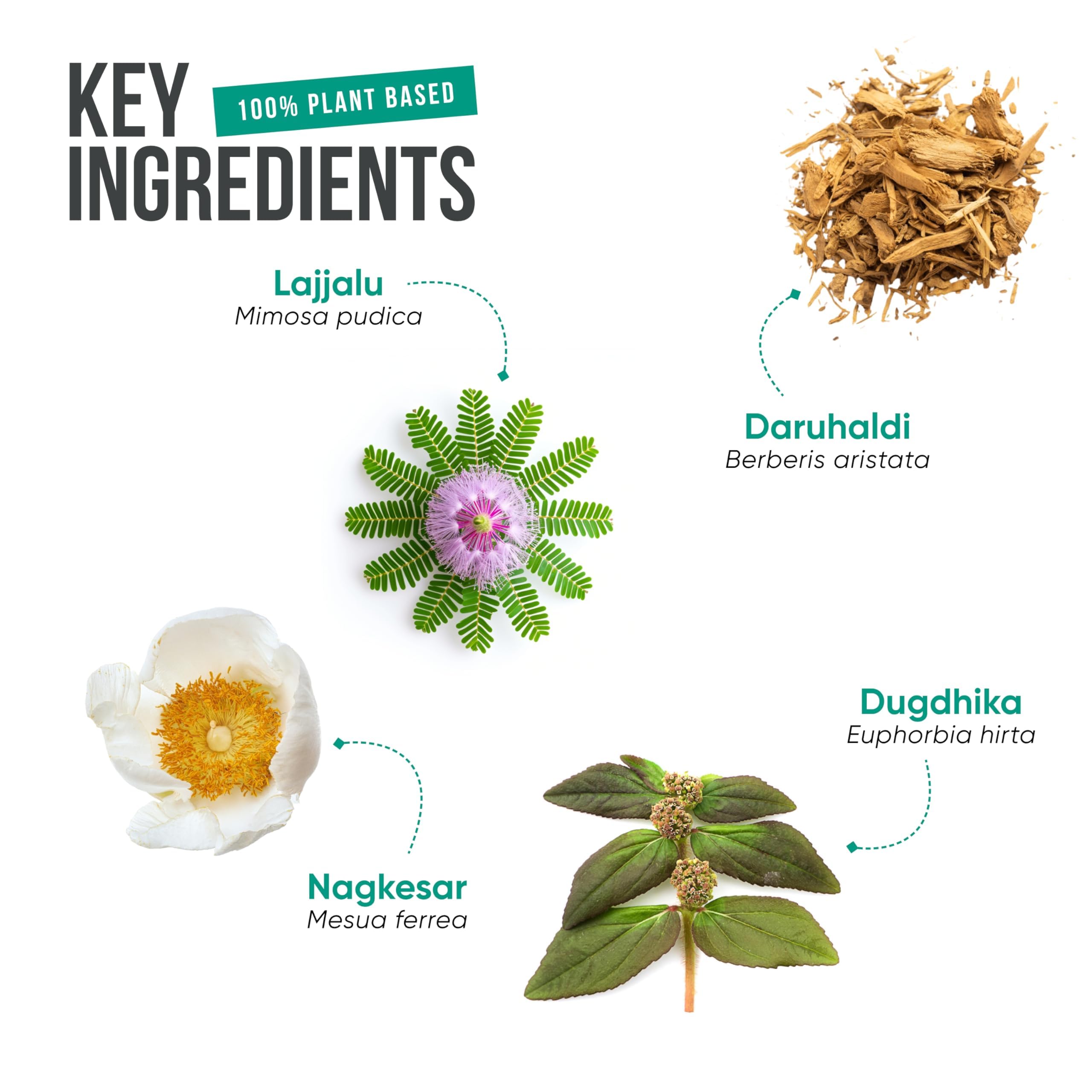 herbal supplements for severe piles
