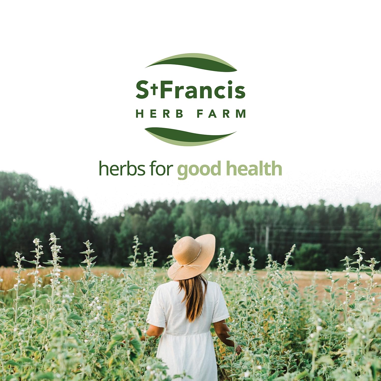 herbal supplements for stress management