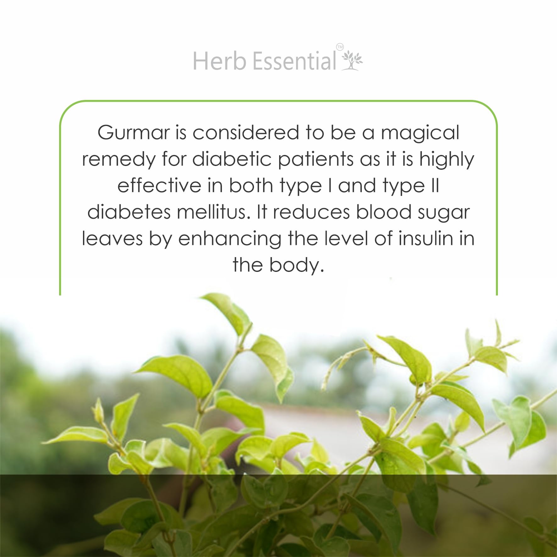 herbal supplements for sugar cravings