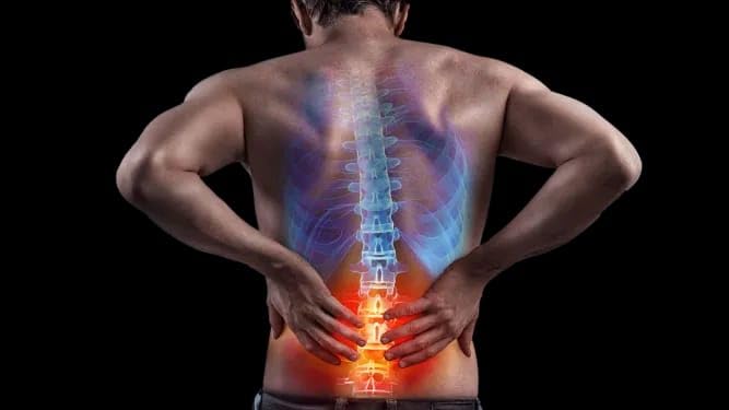 herbal supplements for urinary support