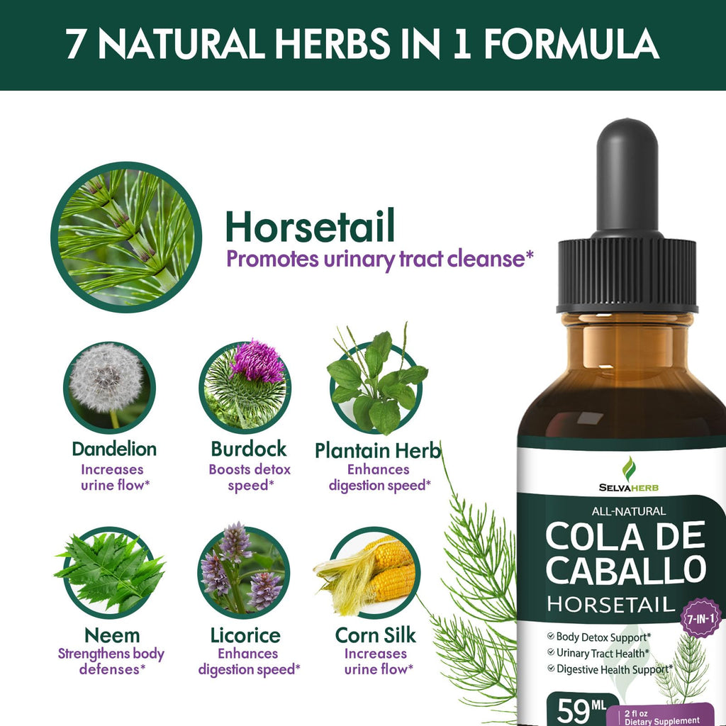 herbal supplements for wellness