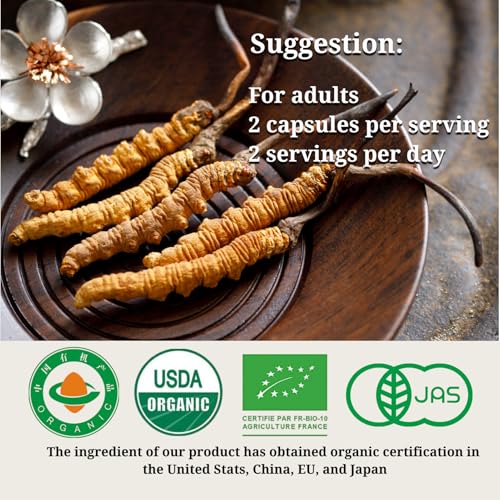 herbal supplements to boost immune system