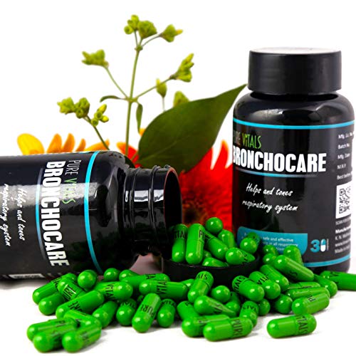 herbal supplements to combat air pollutants