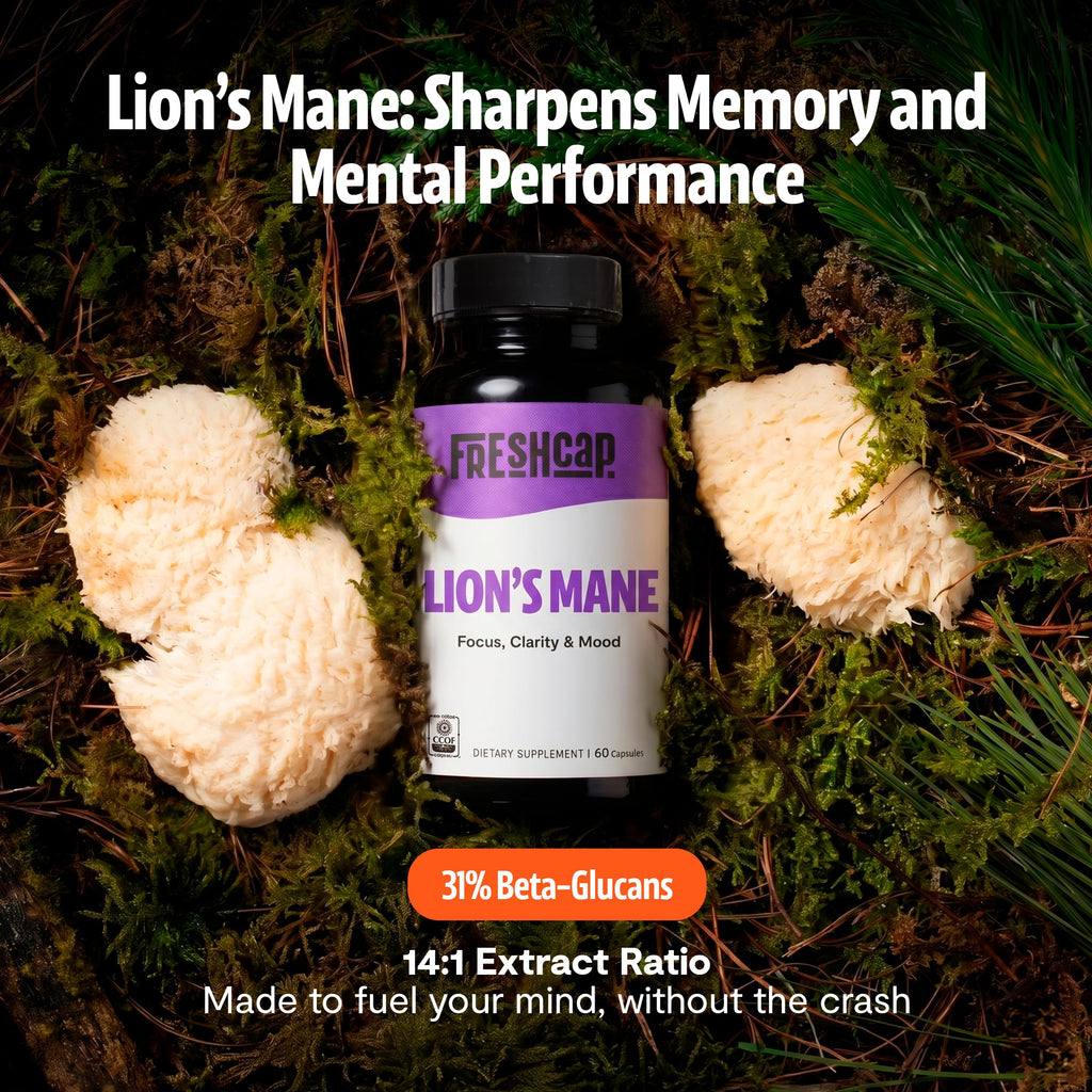 herbal supplements with lion's mane