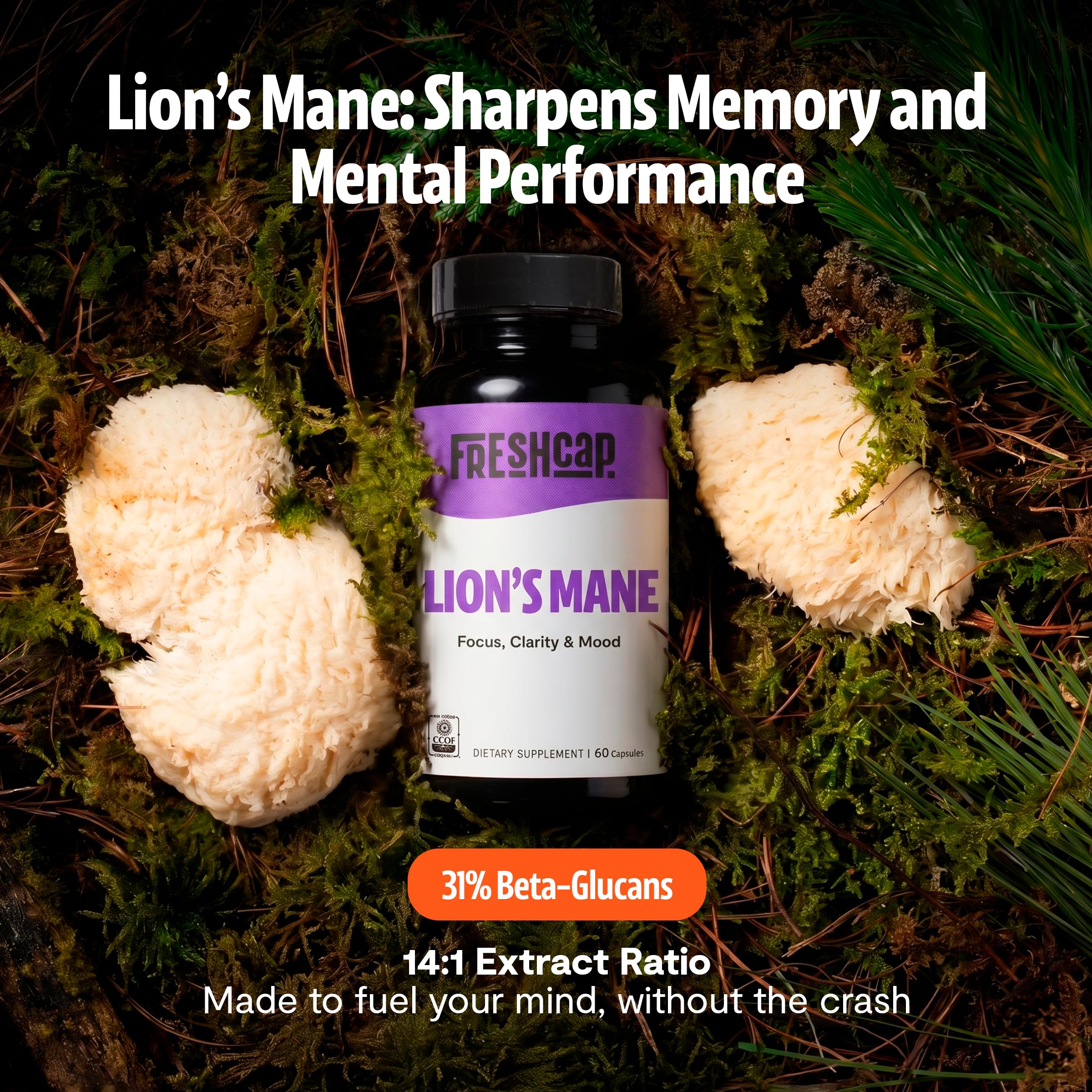 herbal supplements with lion's mane