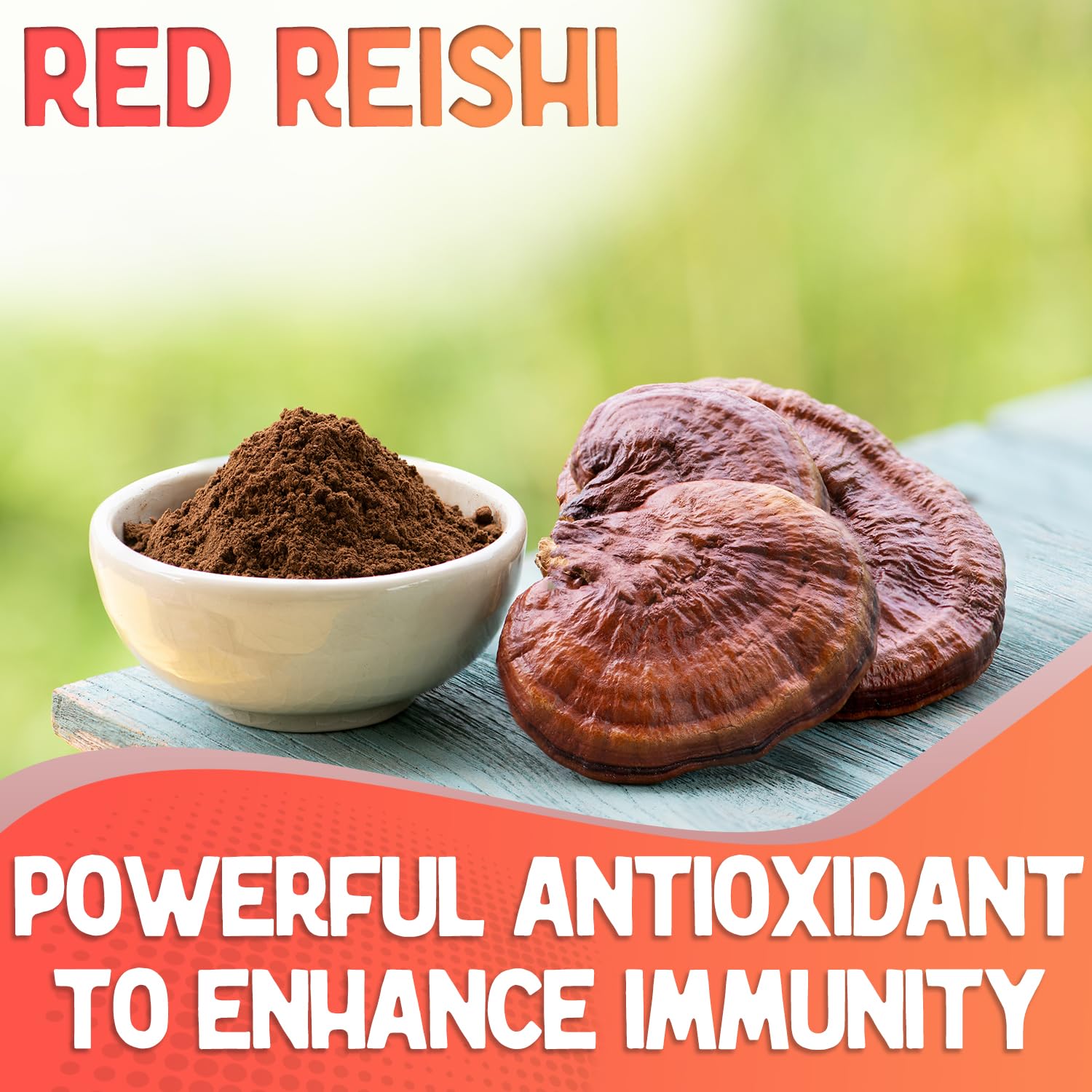 herbal supplements with mushrooms