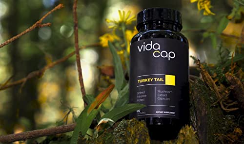 Herbal supplements with turkey tail mushrooms