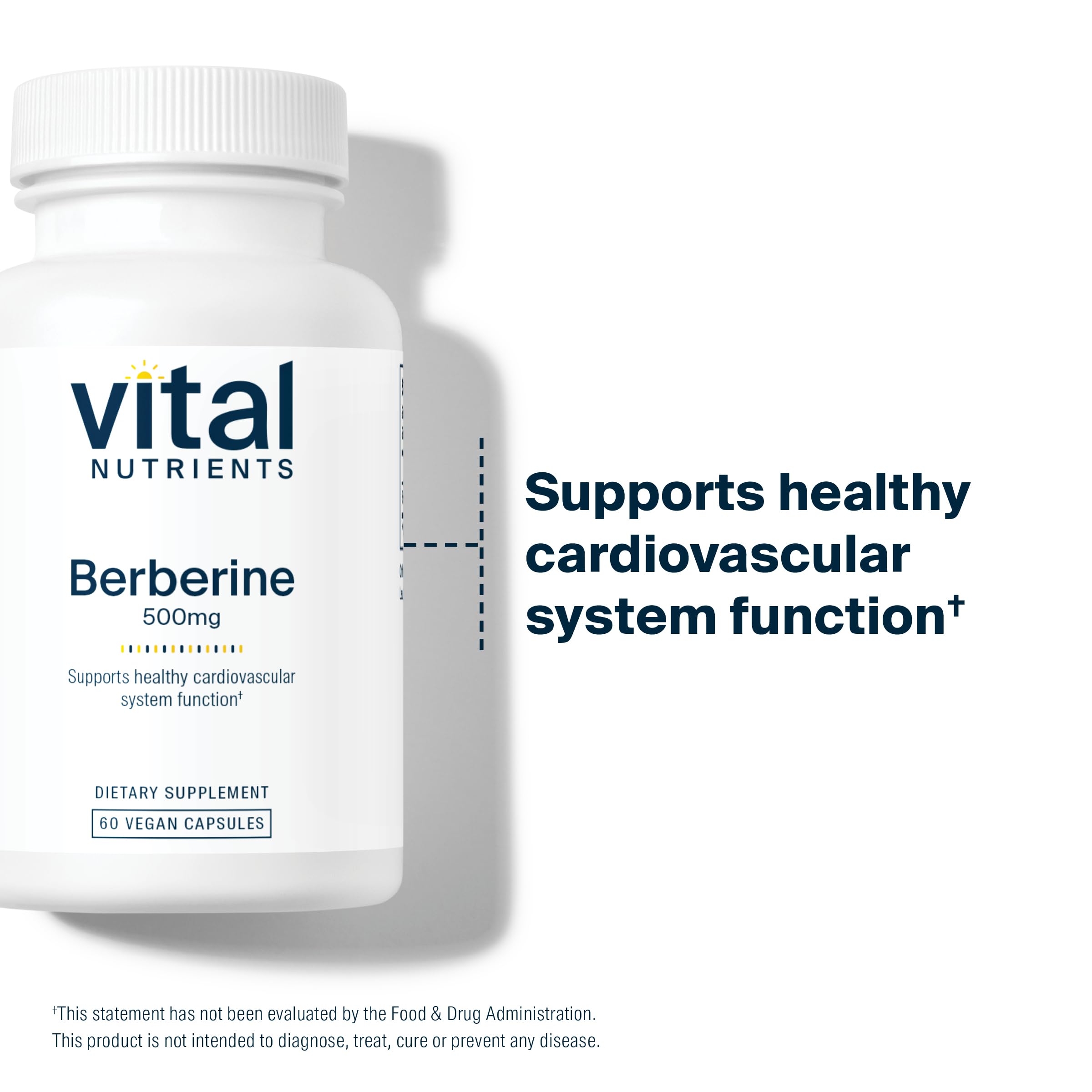 herbal support for cholesterol management