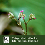 herbal support for fat loss