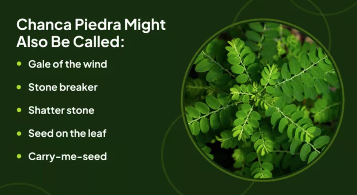 herbal support for kidney stones