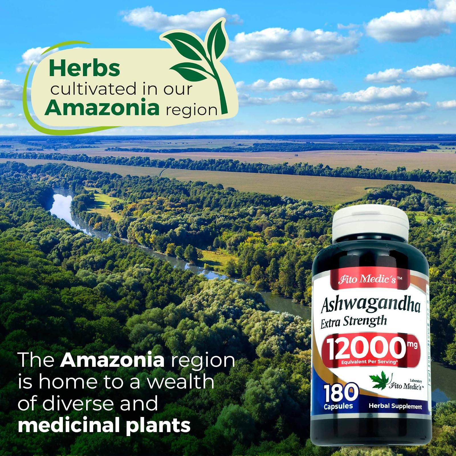 herbal support for mental clarity ashwagandha