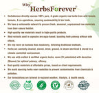 herbal support for overall health