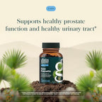 herbal support for prostate health