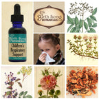 herbal support for seasonal allergies
