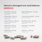 Herbal support for uric acid balance