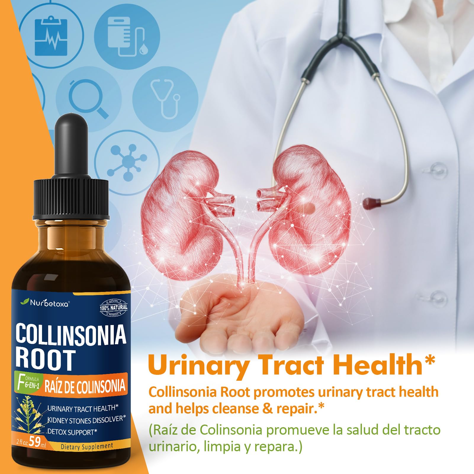 herbal support for urinary tract
