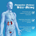 herbal support for urinary tract