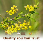 herbal support with berberine softgels