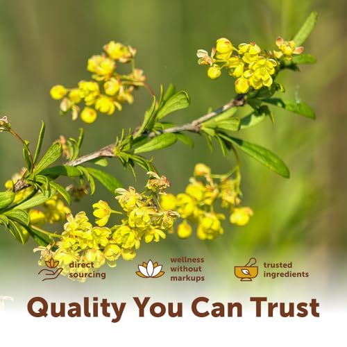 herbal support with berberine softgels