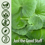 herbal support with Gotu Kola