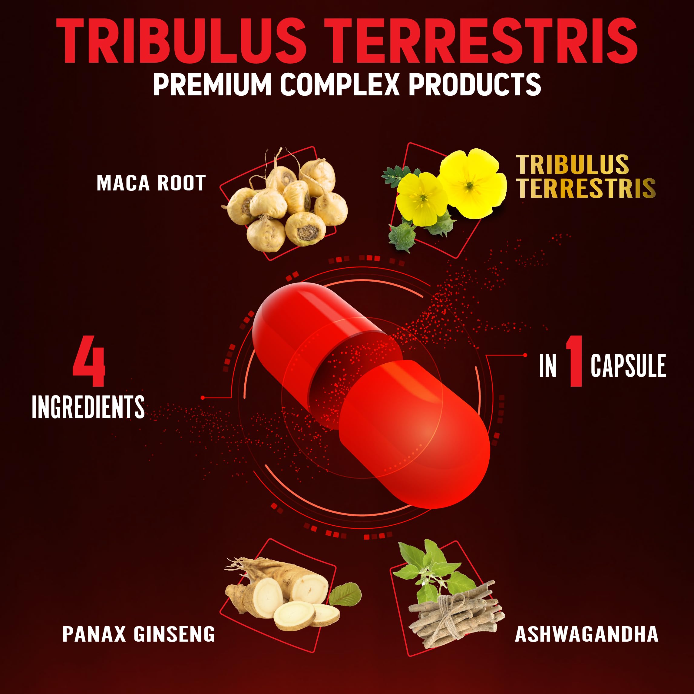 herbal support with tribulus and ginseng