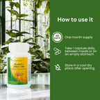 herbal tea bags for immune support