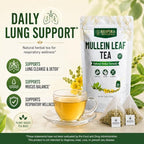 Herbal tea bags for respiratory health