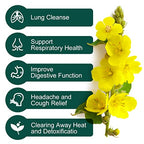 herbal tea bags for soothing digestion
