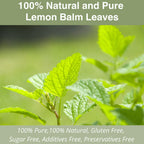 herbal tea bags with lemon balm