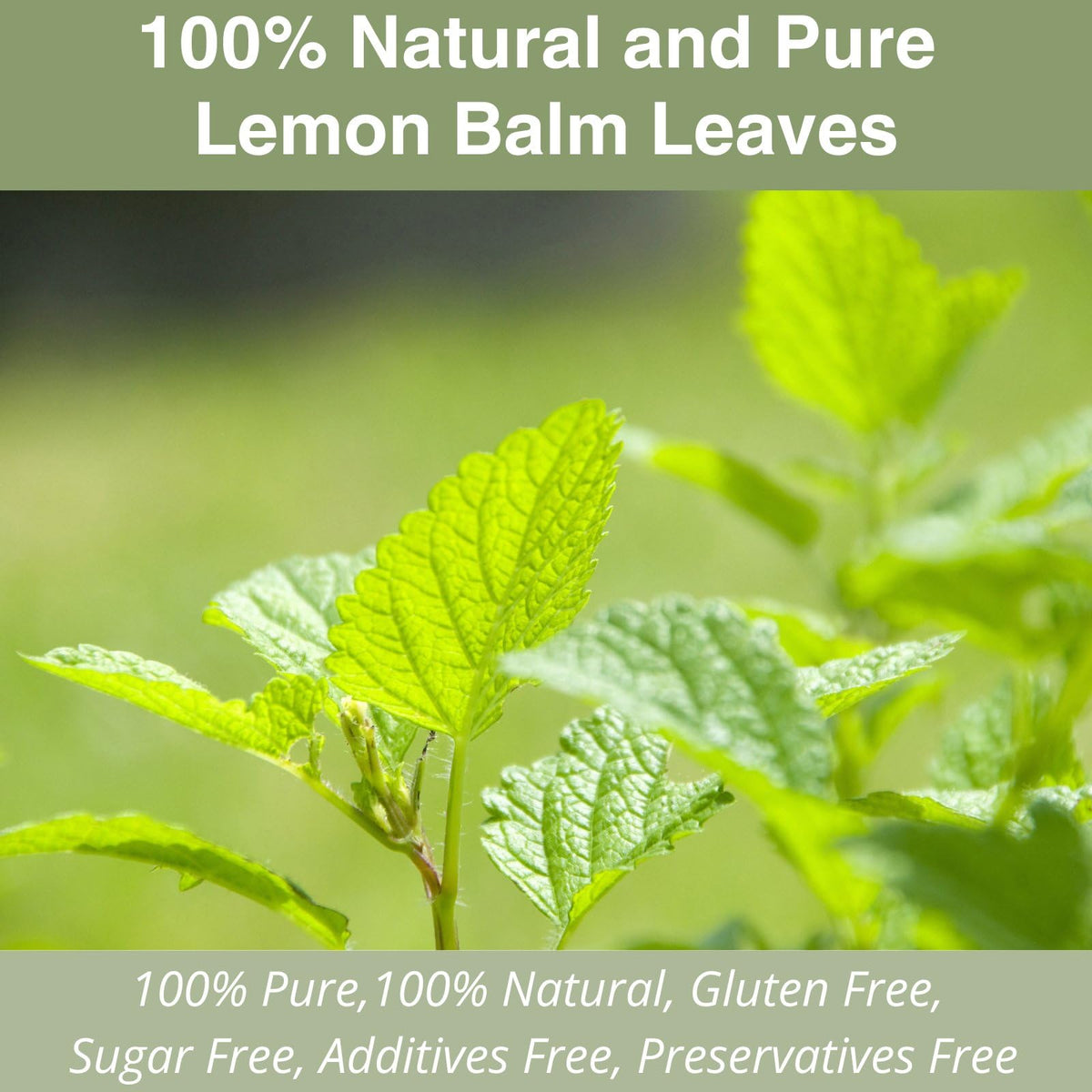 herbal tea bags with lemon balm