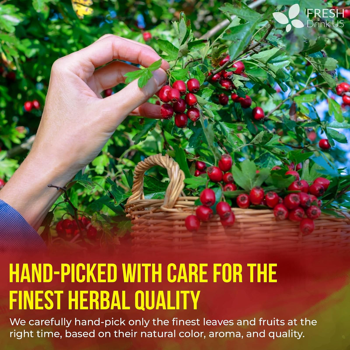 herbal tea blend for detox